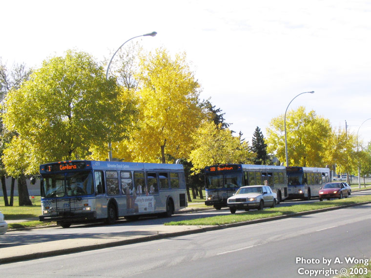 Buses in Autumn - PHOTOGRAPHY - Canadian Public Transit Discussion Board